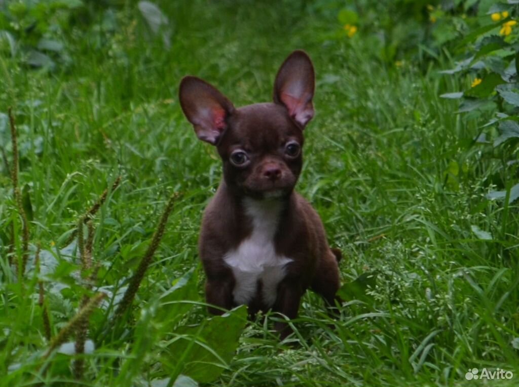 Классный парень