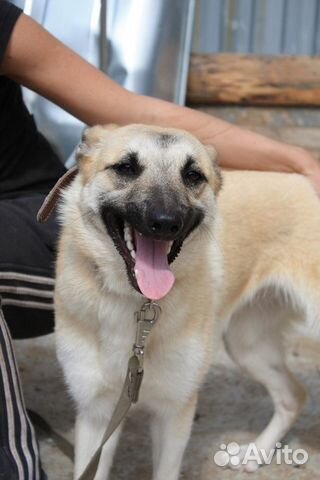 Добрая, молодая Варя ищет мамупапу