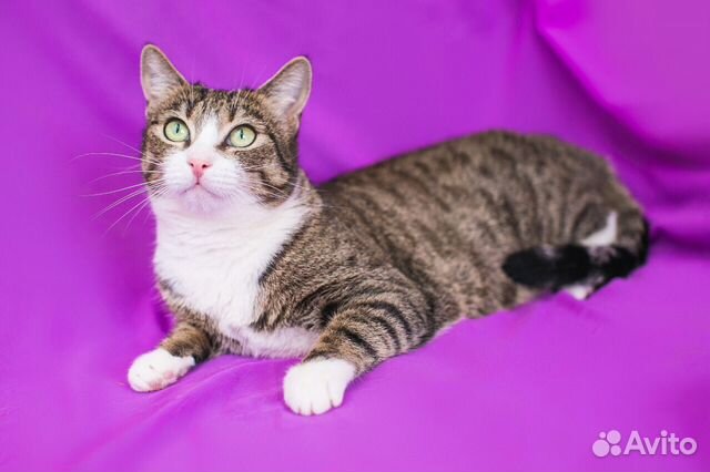 Стеша-чистюля, 1 год, в дар