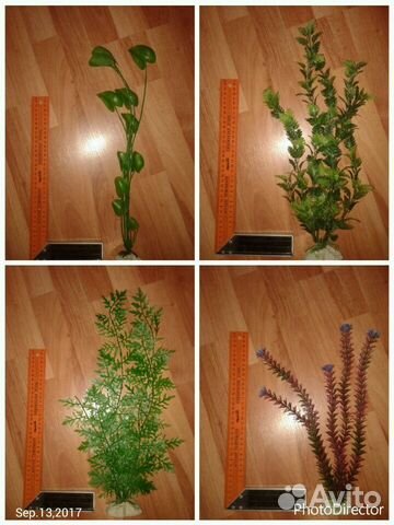 Искуственные растения для аквариума