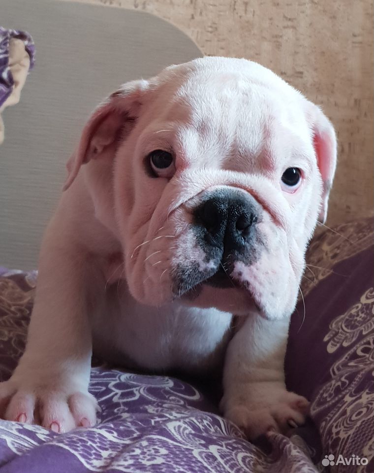 Мальчик беляшик