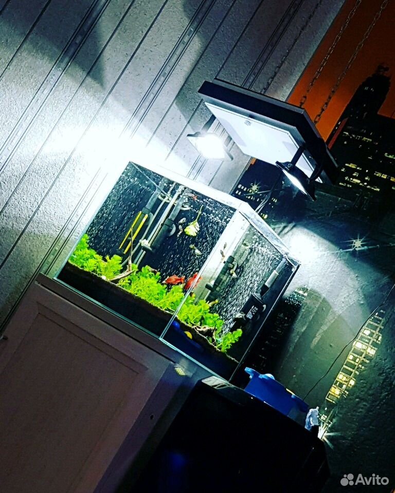 Аквариум 50 литров и все необходимое