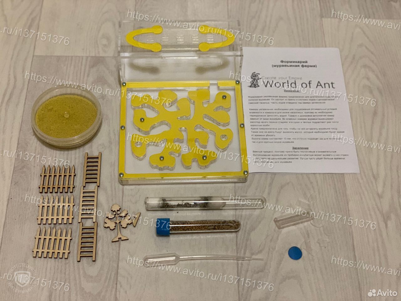 Муравьиная ферма. Формикарий