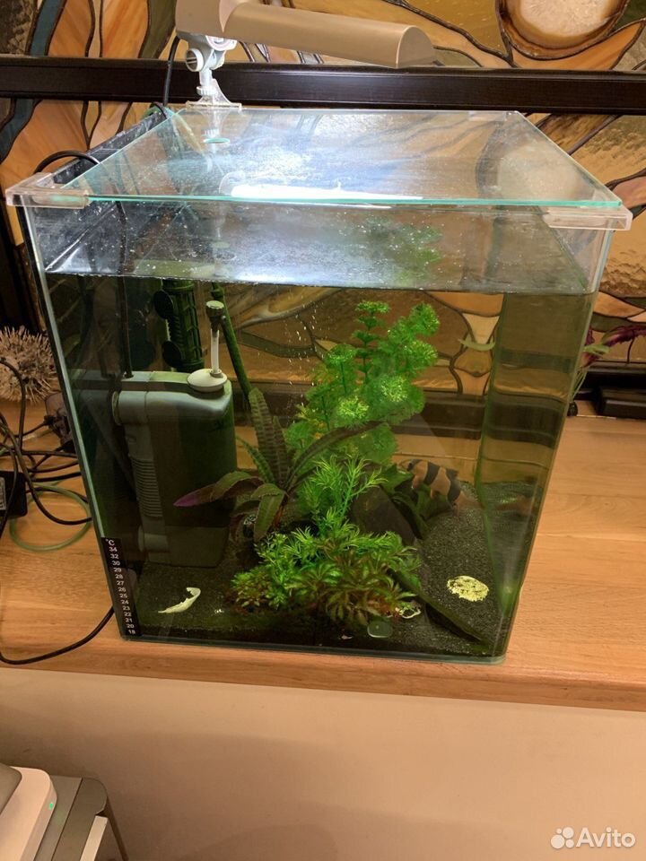 Аквариум 37х 37 х 40 см с рыбками