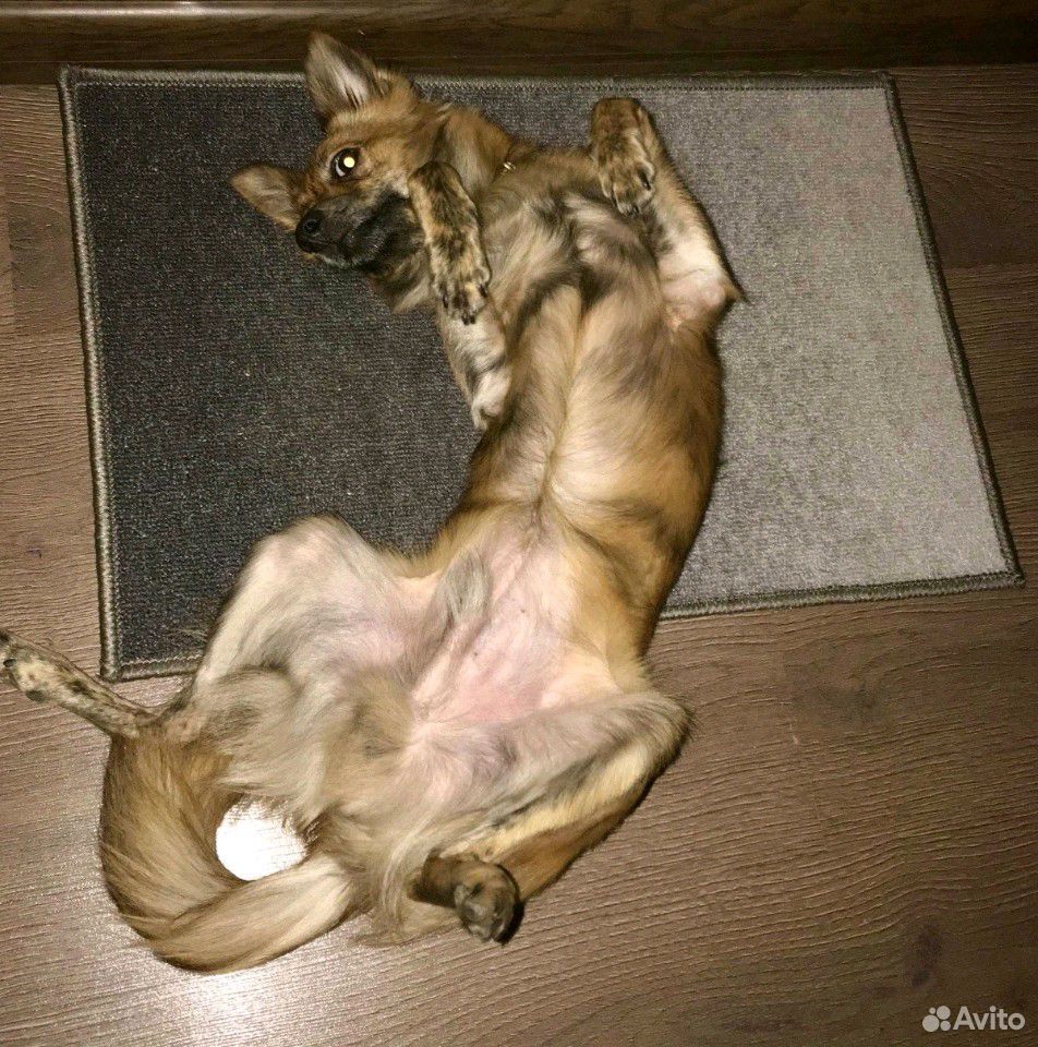 Вязка