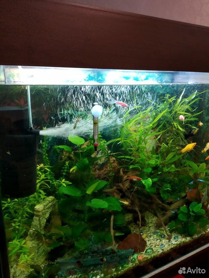 Аквариум с тумбой