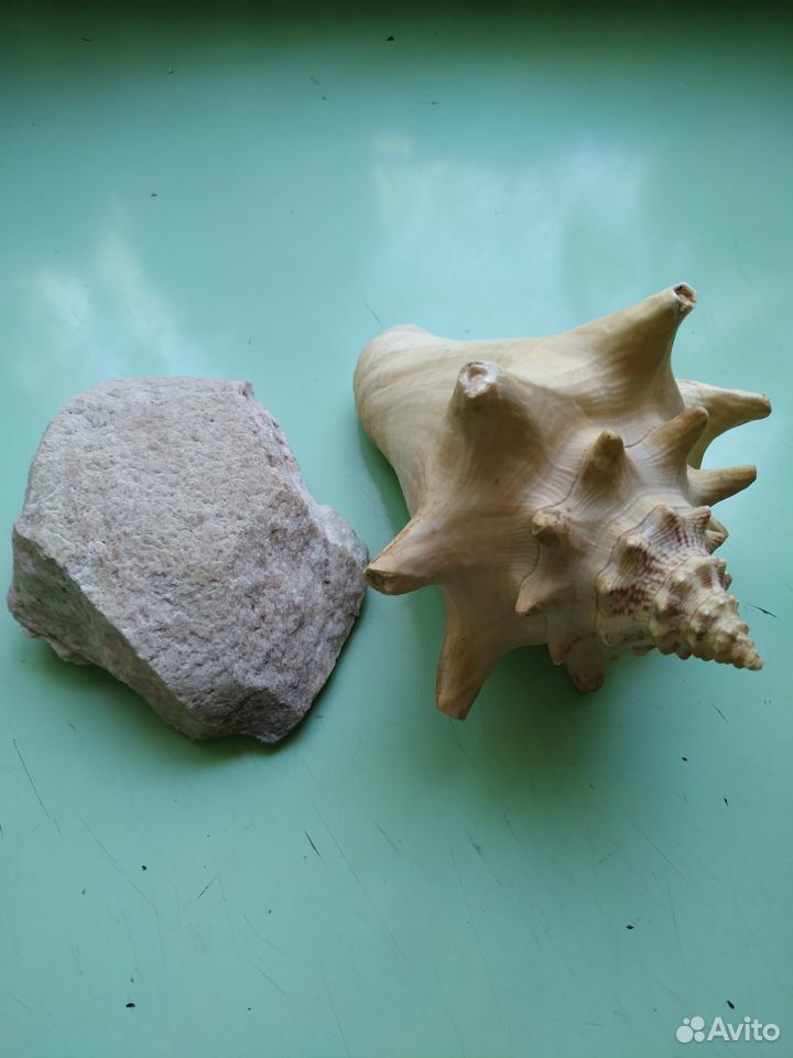 Декор для аквариума