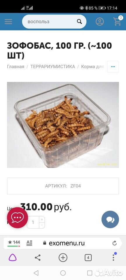 Зофобас живой