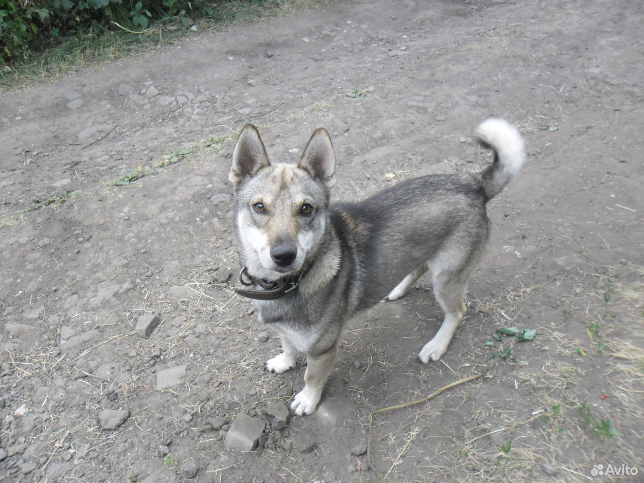 Паренек ищет семью