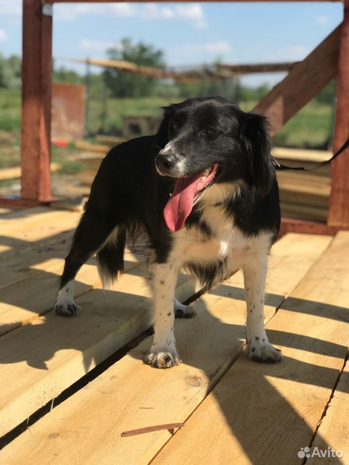 Малышка Марго