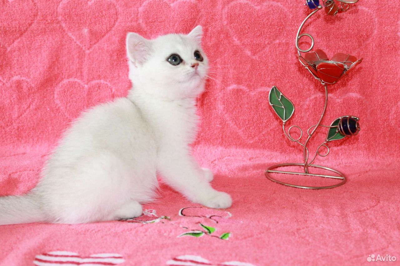 Супер детки