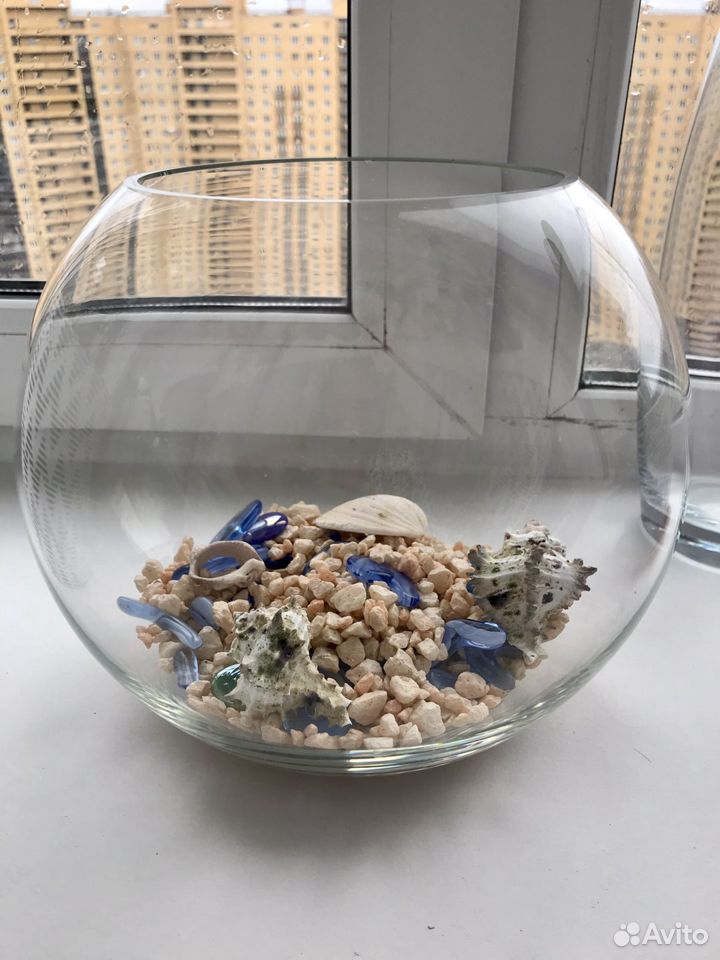 Аквариум круглый 5л живая водоросль, сачок, камни