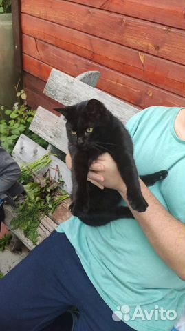 Черный как ночь