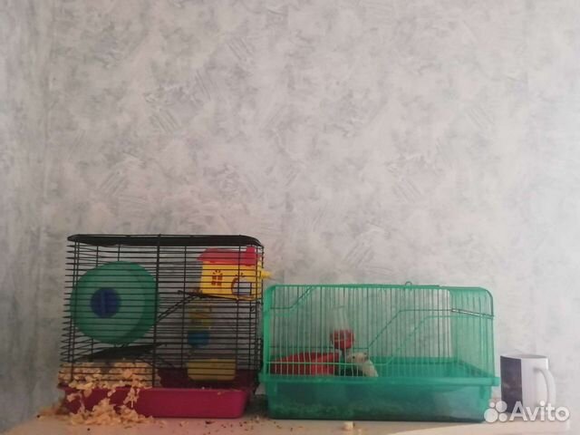 Продам 2 клетки вместе с хомякими