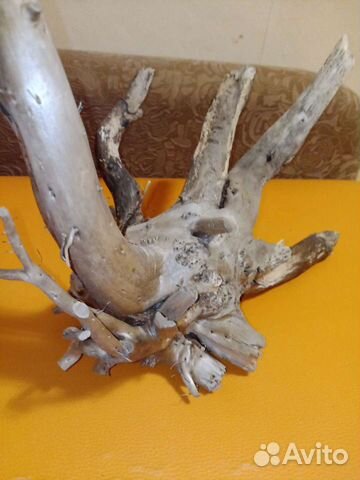 Коряги для террариума или аквариума