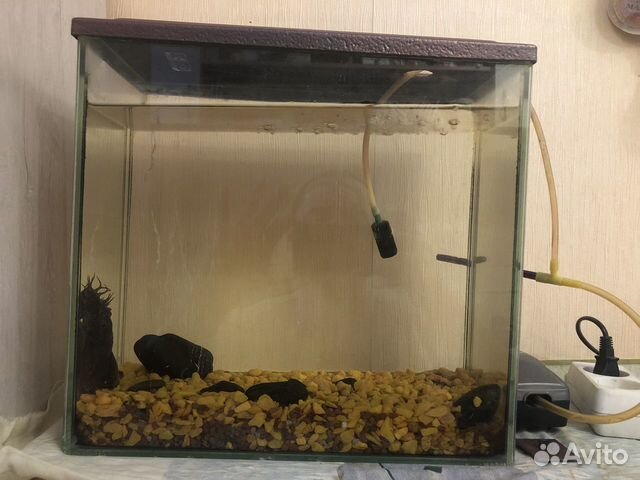 Аквариум