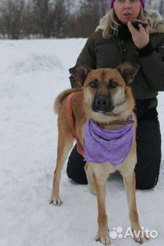 Списите меня из приюта