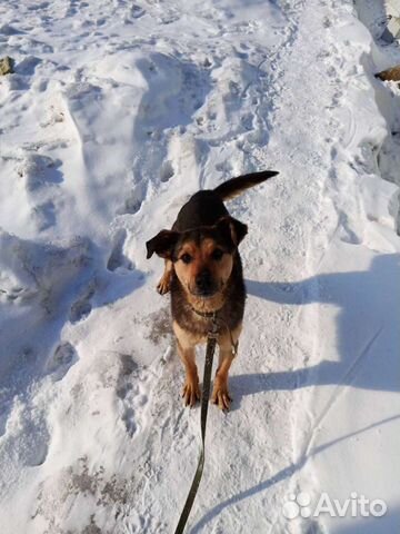 Джессика ищет дом