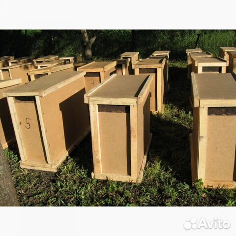 Пчелопакеты 3+1 Карника Краснодар