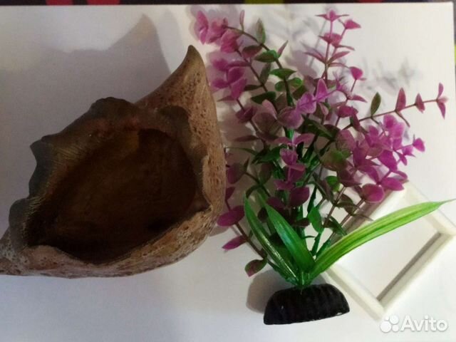 Декорация для акварима