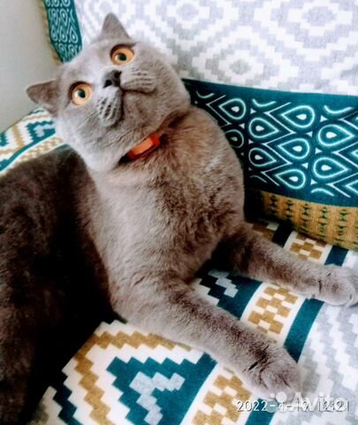 Британская