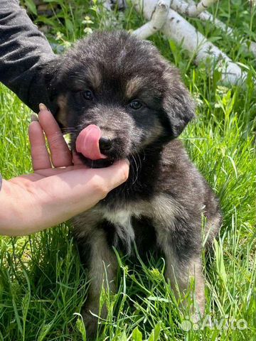 Пристраиваем друзей