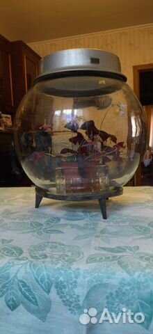 Аквариум для рыбок (Быстрым за 2500)