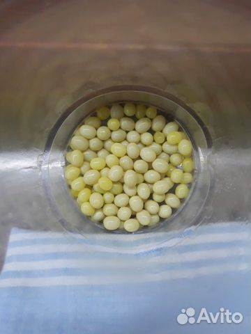 Яйца улитки ахатины