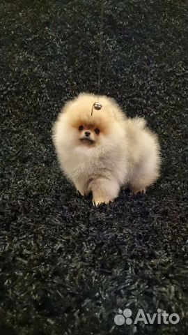 Очаровательный пупс