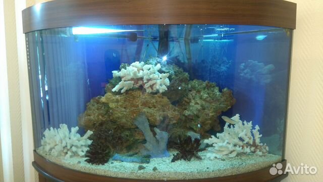 Аквариум Juwel Trigon 350 с тумбой