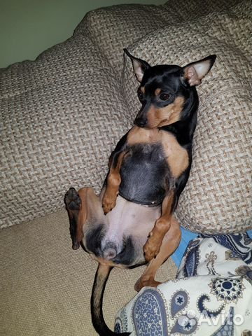 Ищем опытного жениха