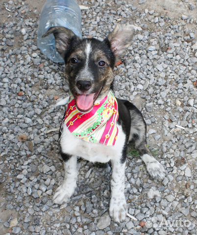 Самая активная и позитивная Кнопочка