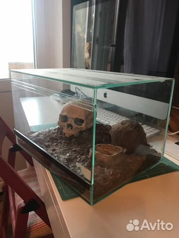 Паучатник / террариум для паука
