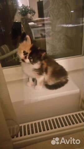 Возьмите Счастье в дом