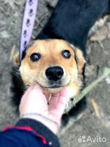 Машок Твиксик