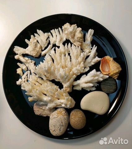 Ракушки, кораллы, камушки для аквариума