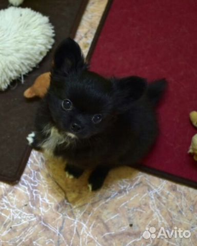 Самый красивый мальчишка