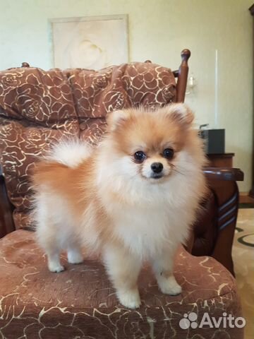 Девочка-дюймовочка