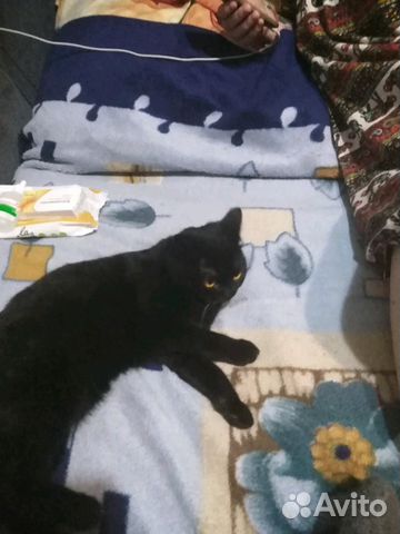 Британская