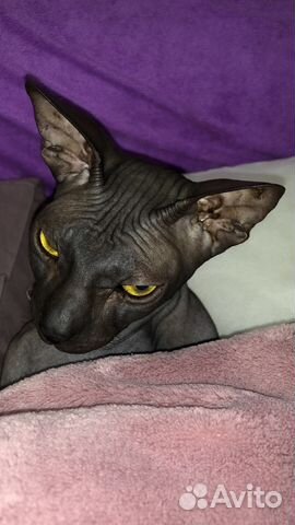 Милая крошка ждёт жениха