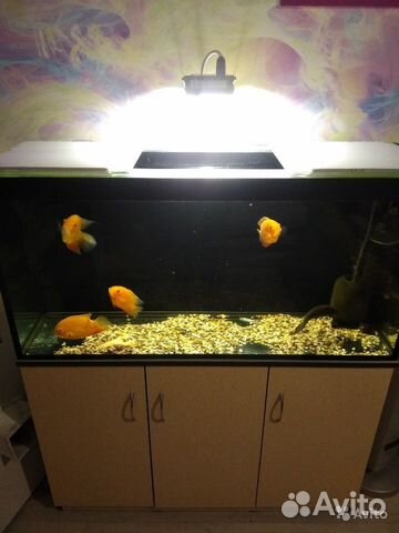 Аквариум 160литров