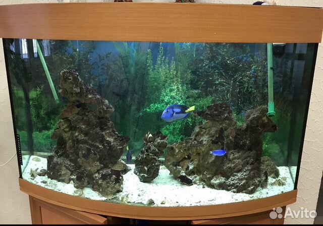 Морской аквариум