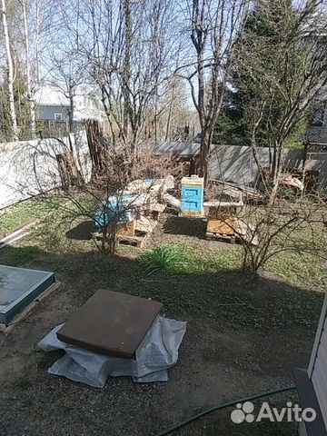 Продажа Пчелопакетов