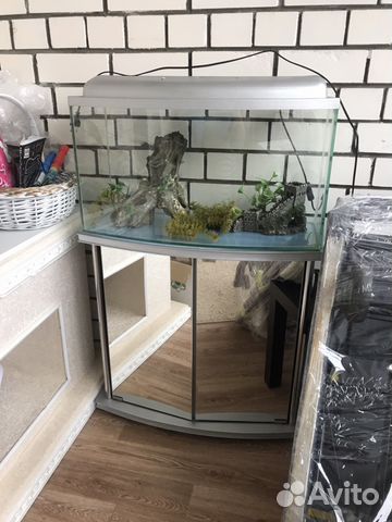 Аквариум бу