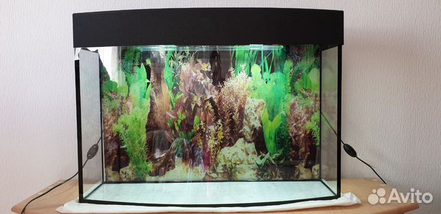 Продам панорамный аквариум на 100л