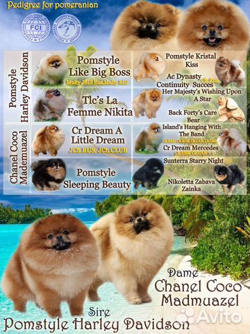 Супер парень