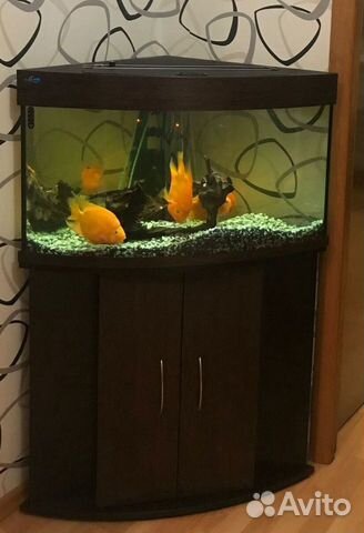 Аквариум под ключ Биодизайн "Диарама" 150 с тумбой