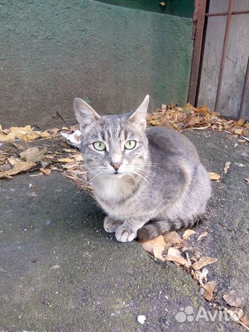 Дружочки Лучик и Сёмик