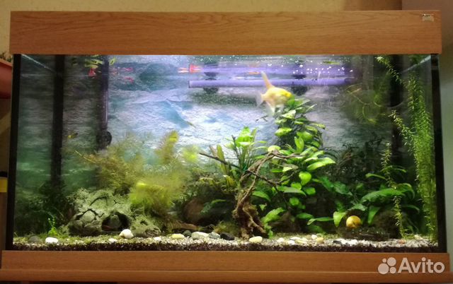 Аквариум