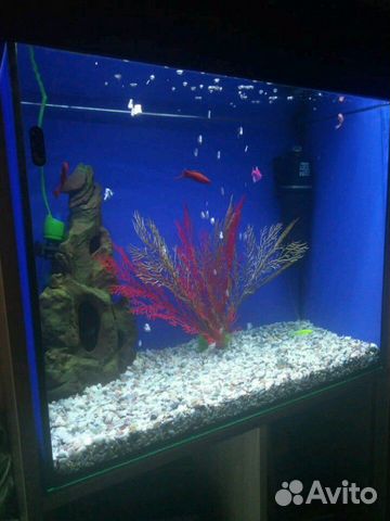 Аквариум